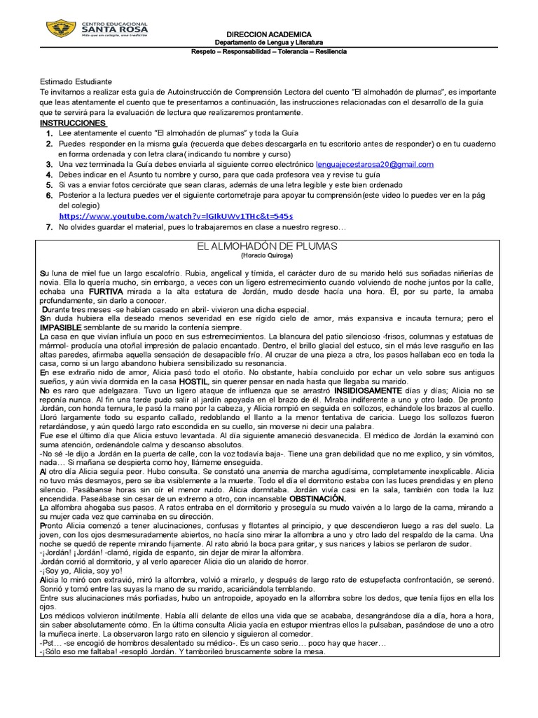 GUIA 4 DE AUTOINSTRUCCION COMPRENSION LECTORA Cto EL ALMOHADON DE ...