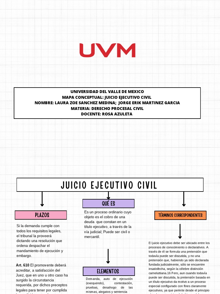 Mapa Conceptual | PDF | Demanda judicial | Sentencia (ley)
