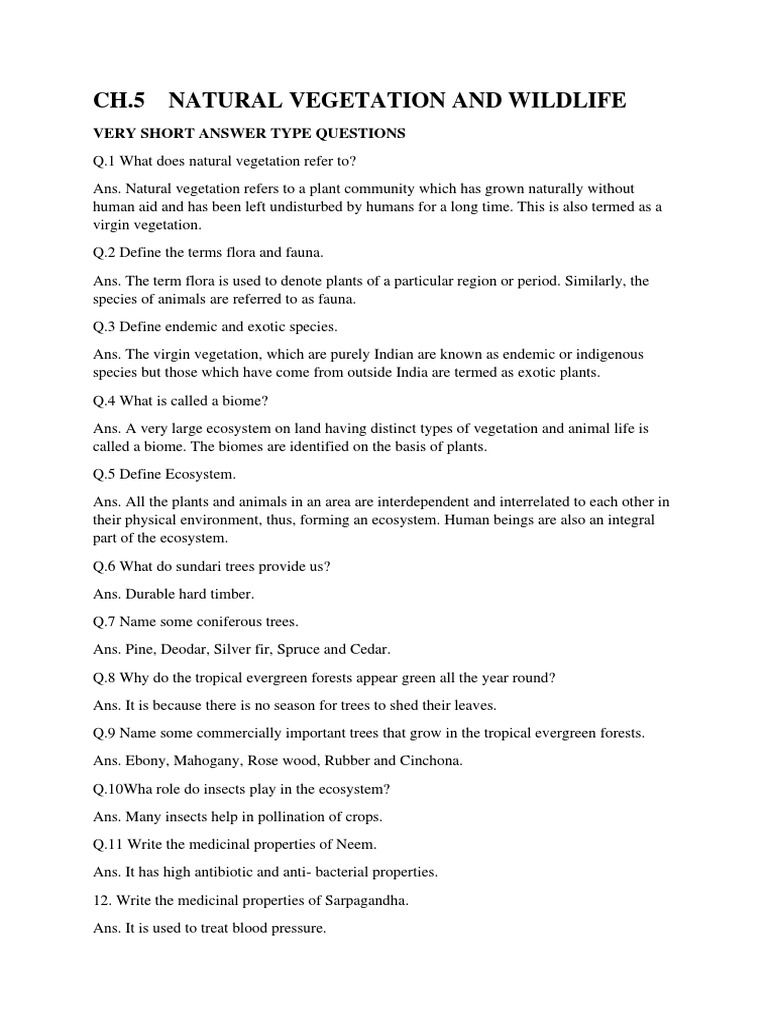 Natural Vegetation | PDF | Forests | Trees