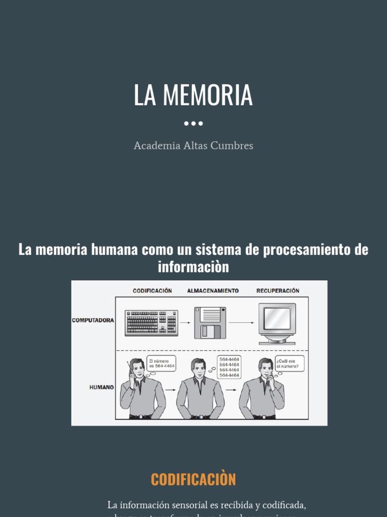La Memoria | PDF | Memoria | Memoria de trabajo