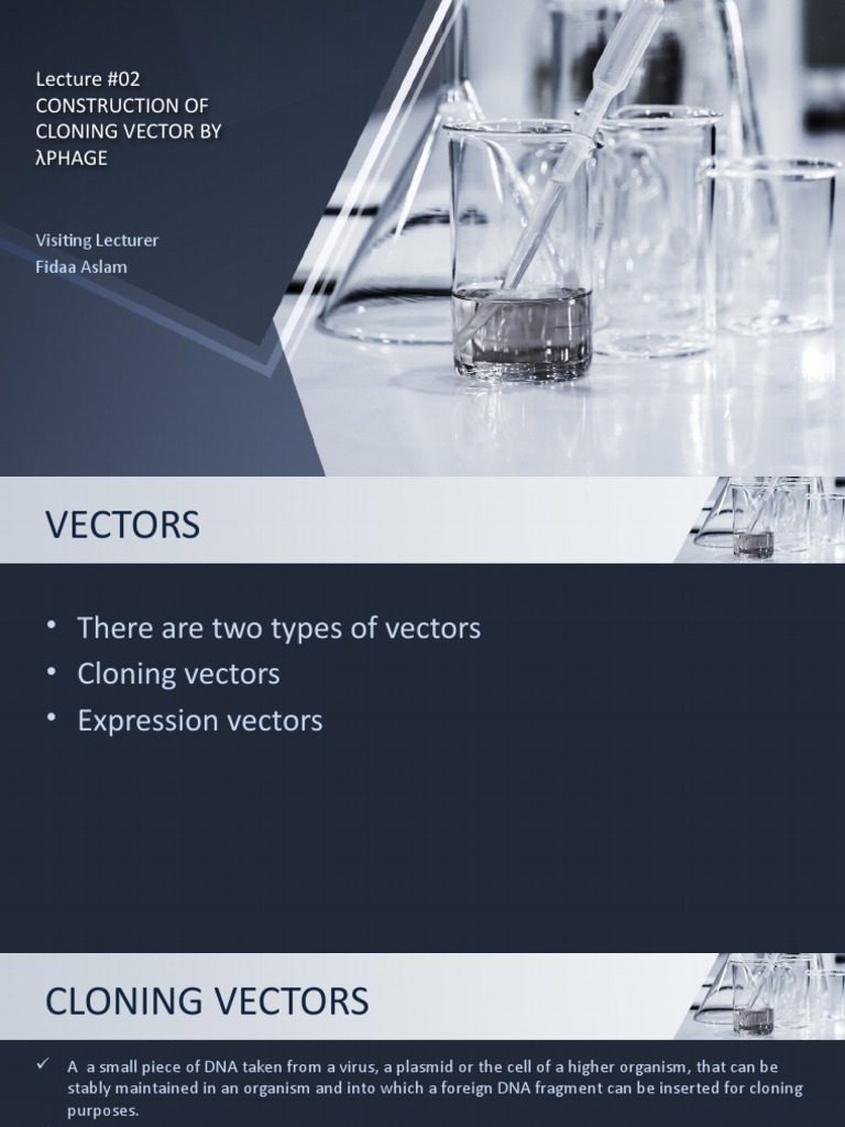 L03 Lambda Vectors | PDF | Plasmid | Bacteriophage