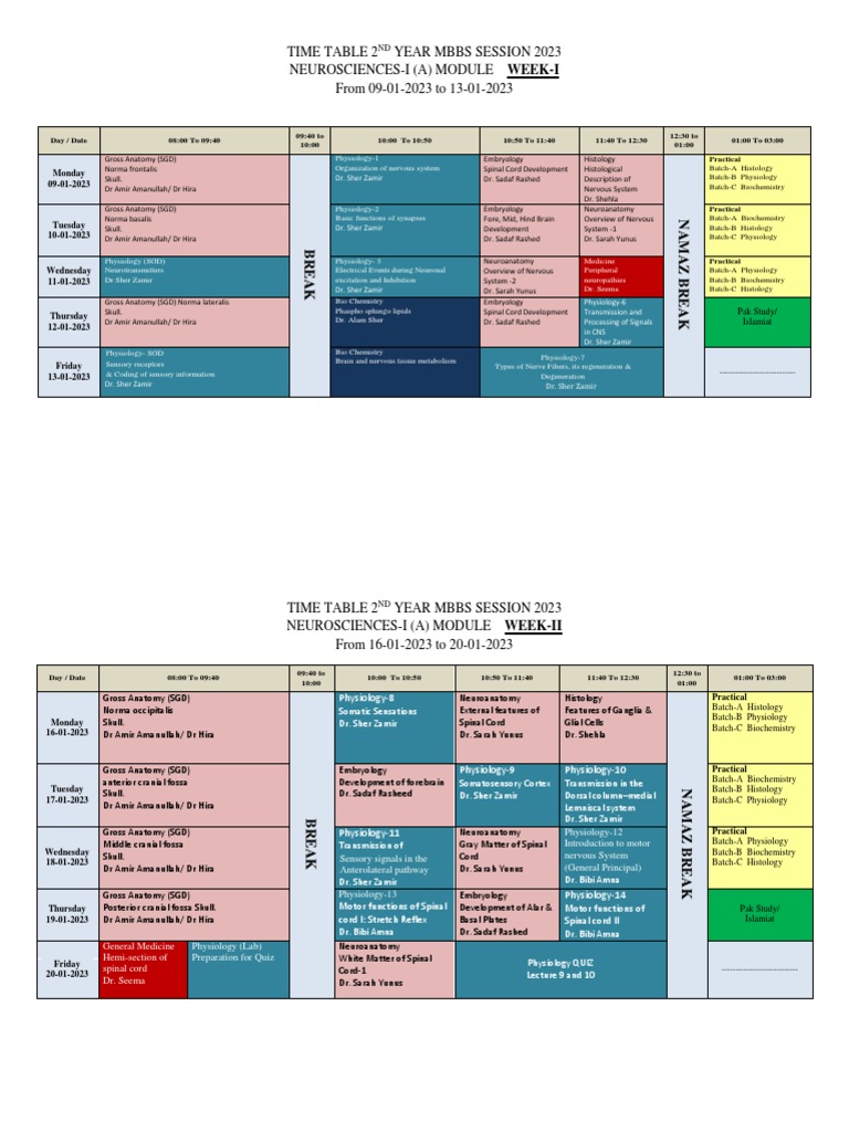 Neurosciences-I (A) TIME TABLE 2ND YEAR MBBS (Final) | PDF | Nervous System | Spinal Cord