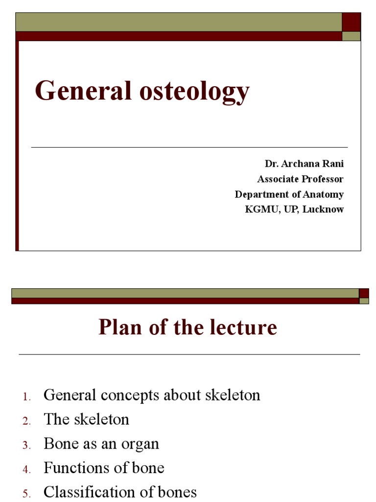 General Osteology 2 | PDF | Bone | Skeleton