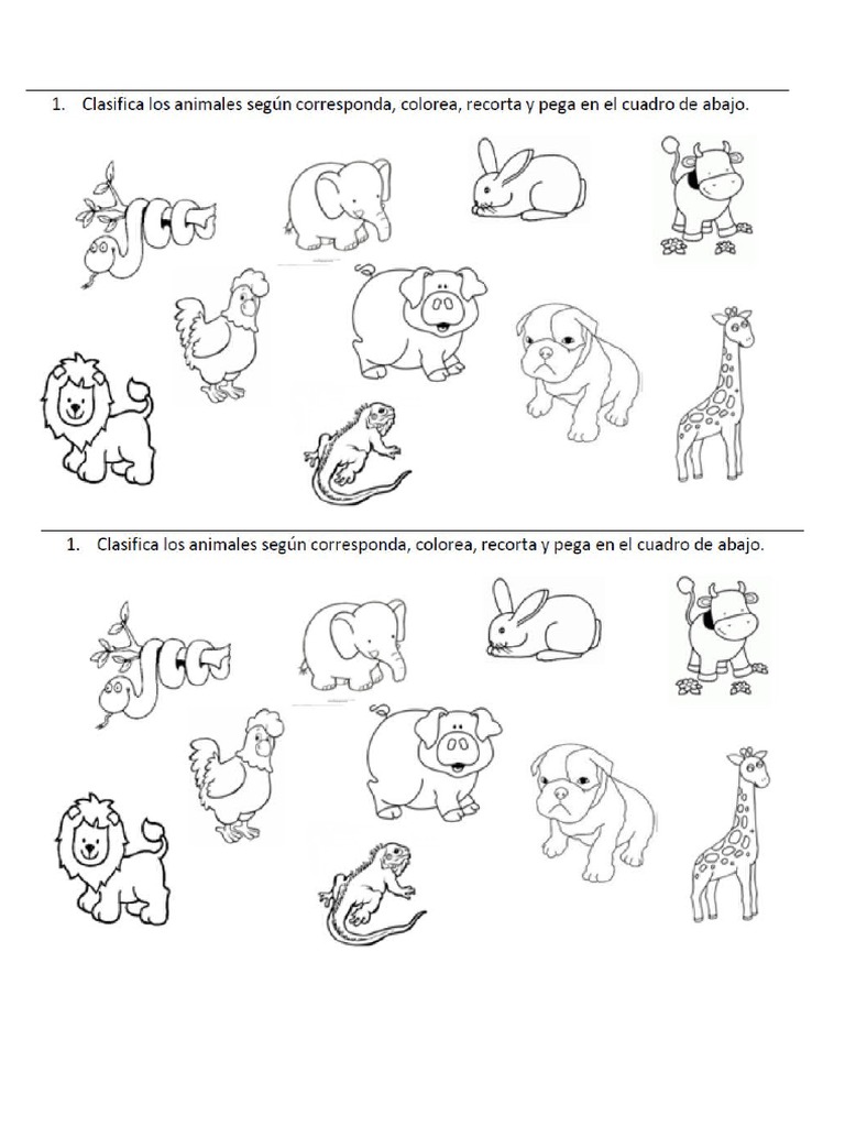 Clasificacion de Animales | PDF