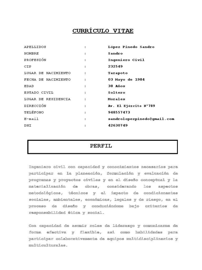 Currículum Vitae de Ingeniero Civil Sandro López | PDF | Ingeniería