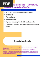 Eukaryotic Cells - Plant, Algal & Fungal Cells Revision Notes - A-Level ...