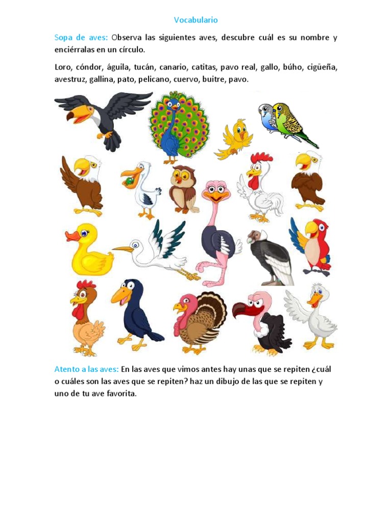 Nombres de Aves para Niños | PDF
