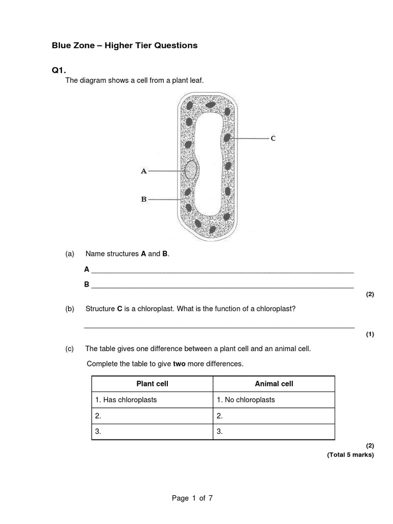 blue-zone-higher-questions-lockdown-work-pdf