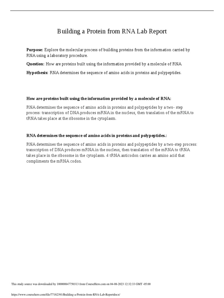 Building Proteins from RNA Lab Report | PDF | Science & Mathematics