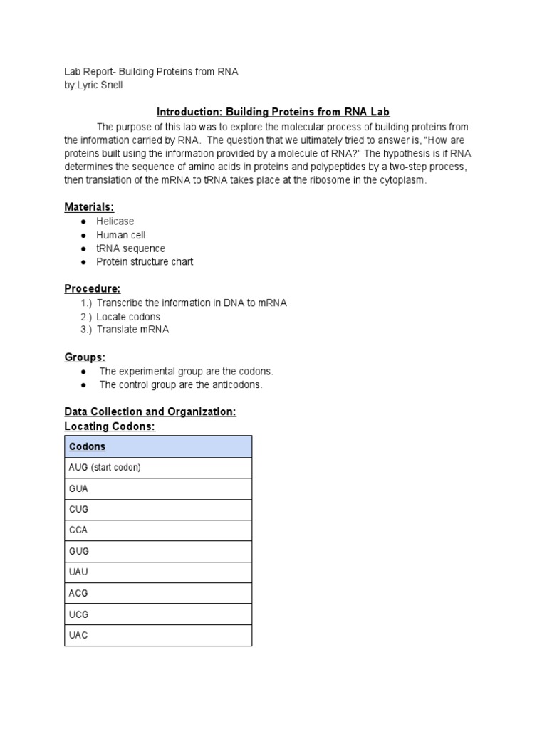Lab Report Building Proteins From RNA 1 PDF | PDF | Translation (Biology) | Genetic Code