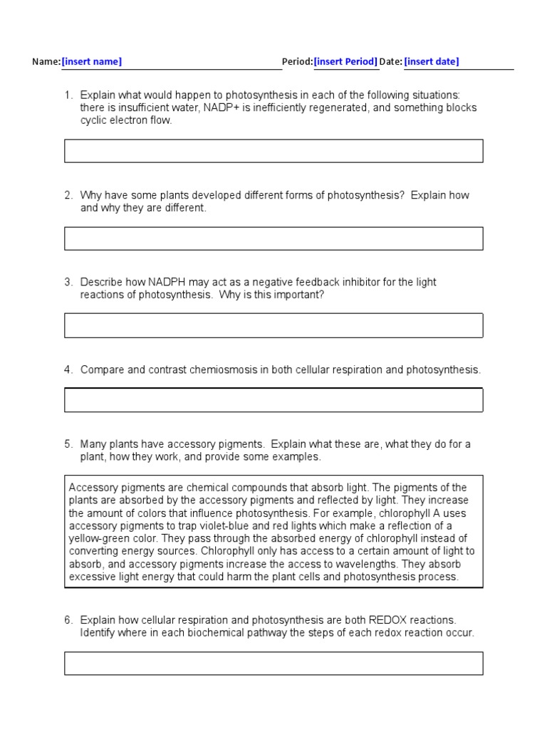 Cell Energy Review Questions | PDF | Photosynthesis | Cellular Respiration