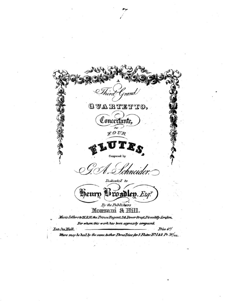 Schneider Flute 1 | PDF