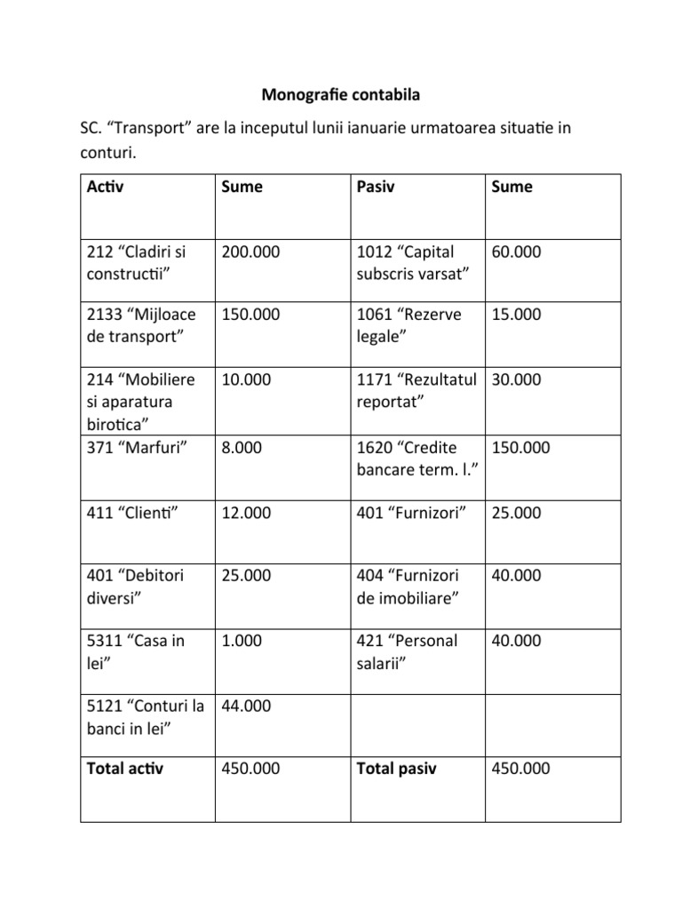 Monografie Contabila | PDF