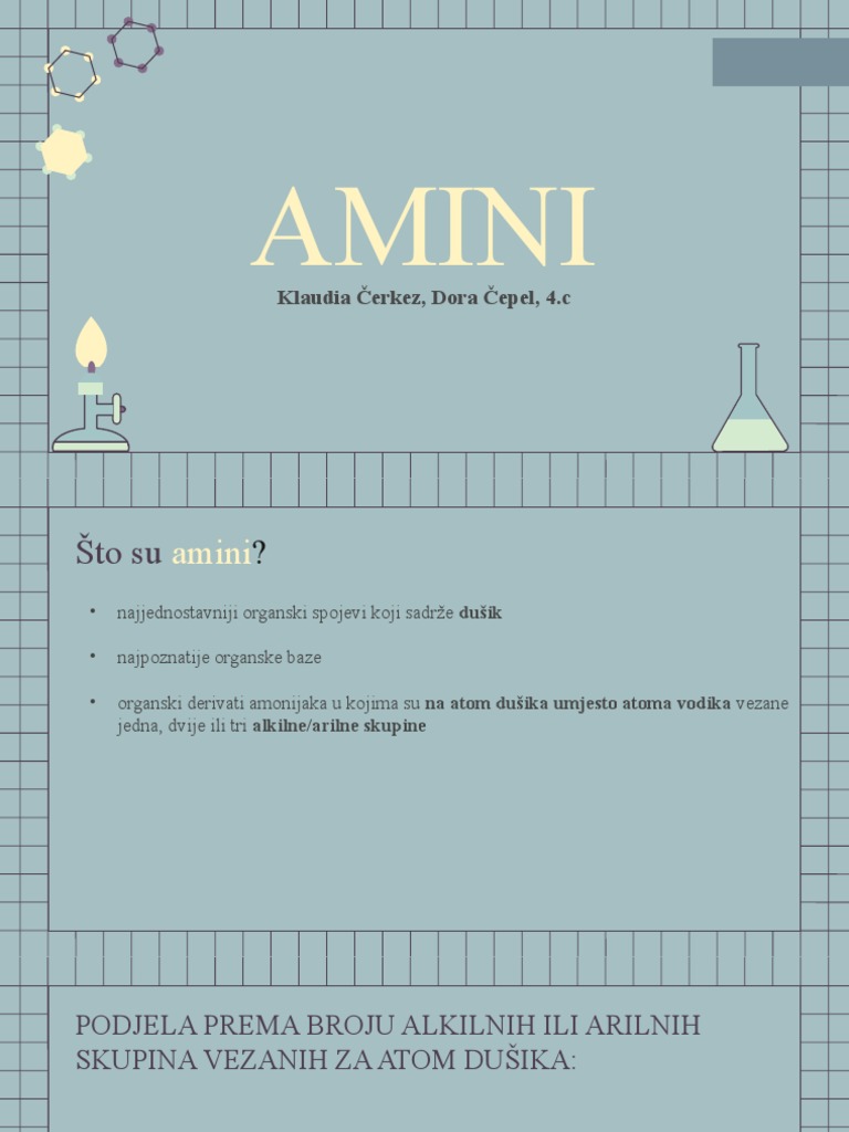 Amini | PDF
