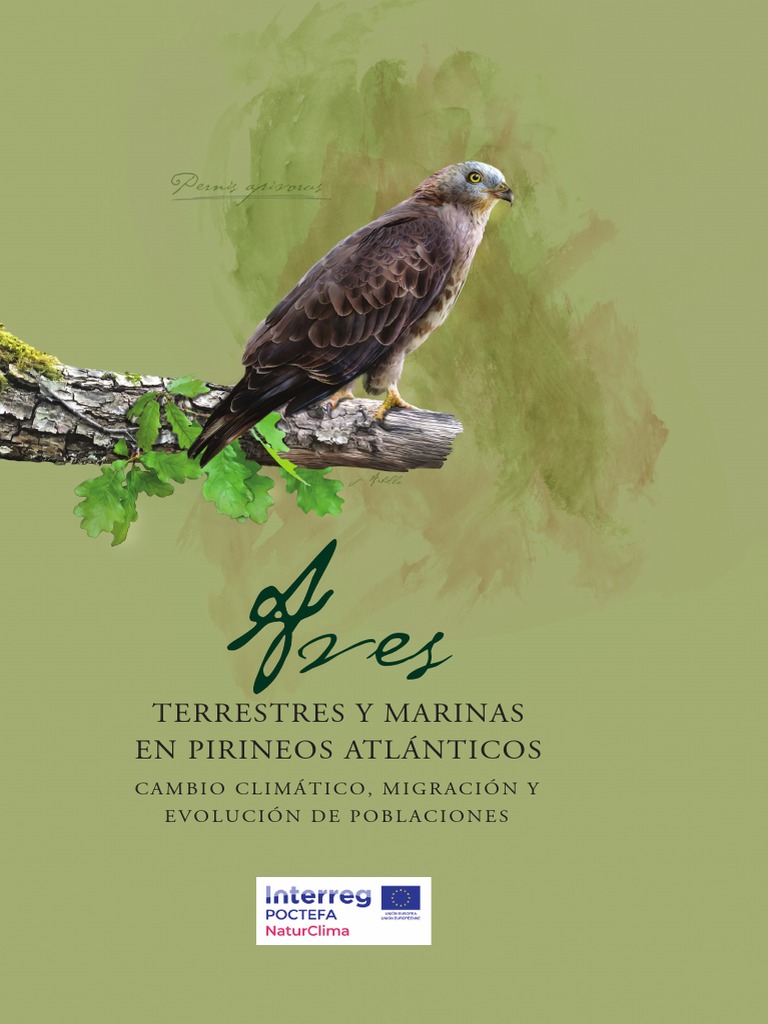 Aves Terrestres y Marinas en Pirineos Atlánticos | PDF | Migración de ...