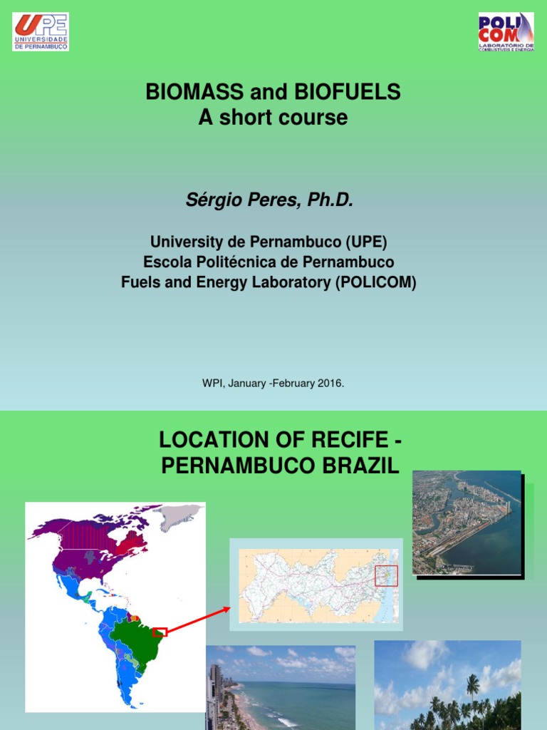 Biomass Characterization - Part 1 | PDF | Biomass | Sustainable ...