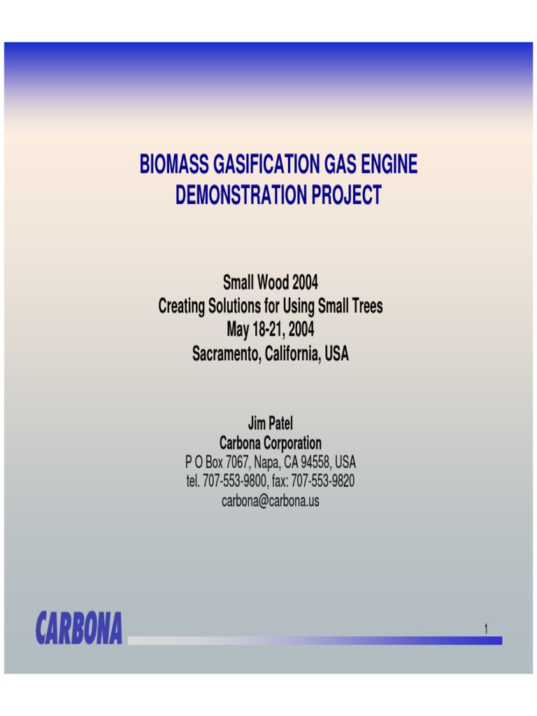 Biomass Gasification Smallwood04patel | PDF | Gasification | Environmental Technology