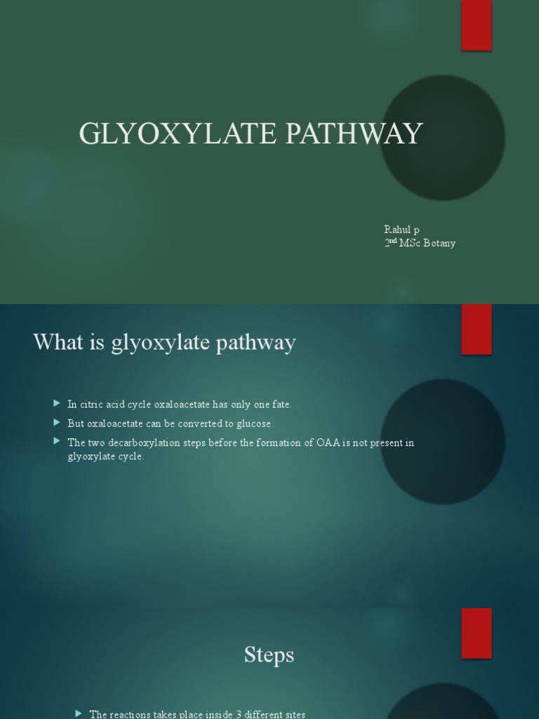 Glyoxylate Cycle | PDF | Diet & Nutrition | Chemistry