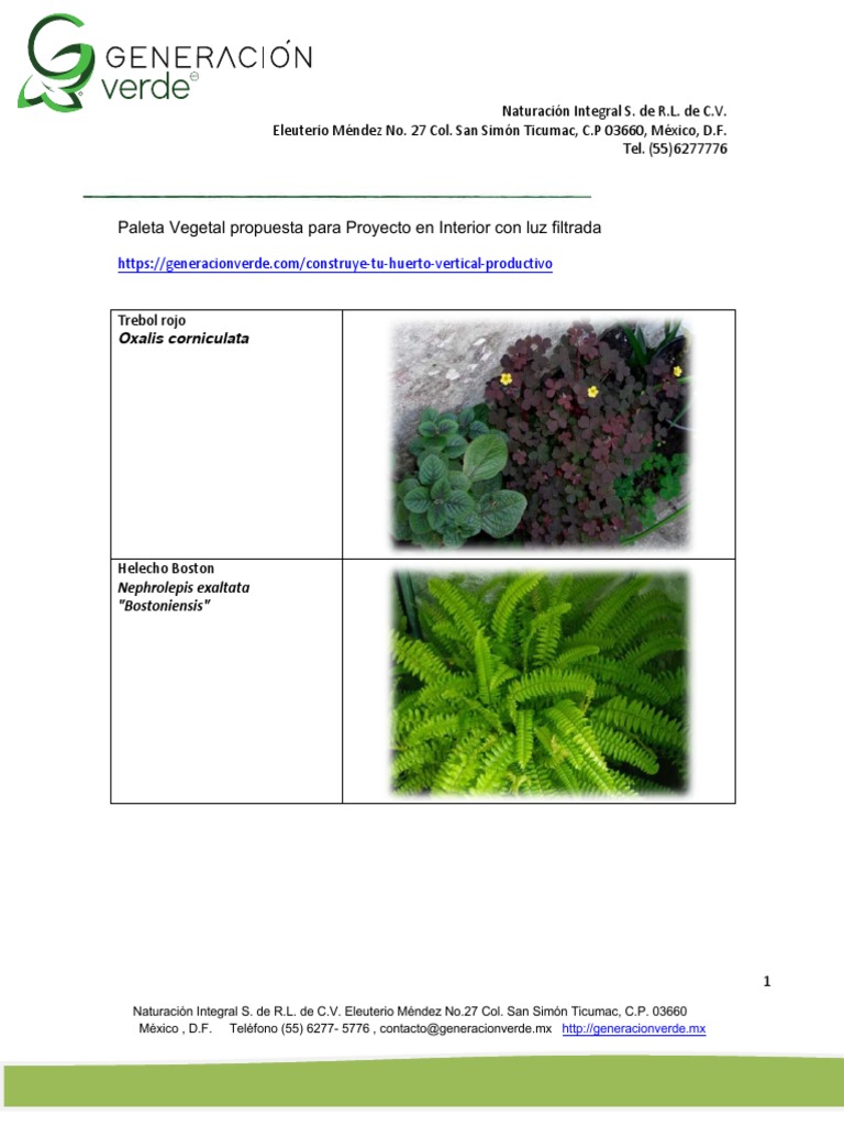 Qpi UDUTLFdl F7 U S2 N0 ZV 1586616454 | PDF | Horticultura | Plantas