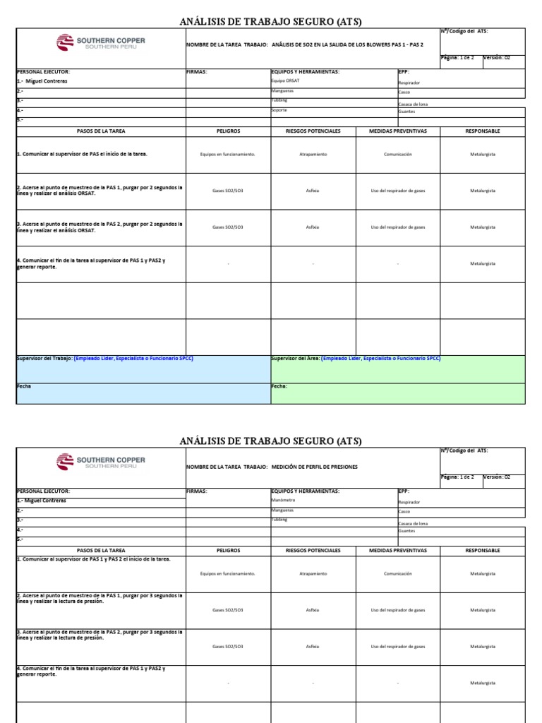 Formato de Ats | PDF | Ciencias fisicas | Química