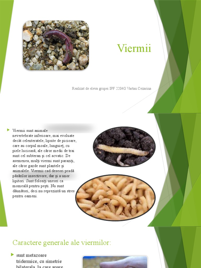 Viermii Prezentare Biologie | PDF