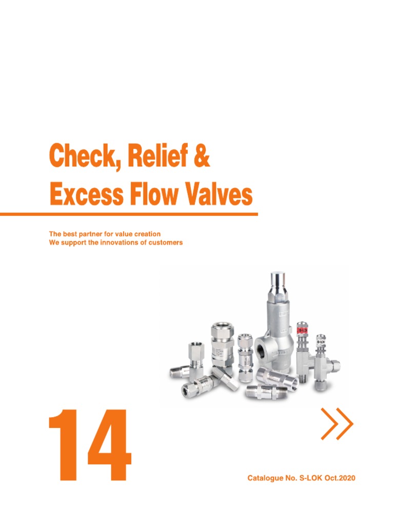 Check Relief Valve Slok | PDF