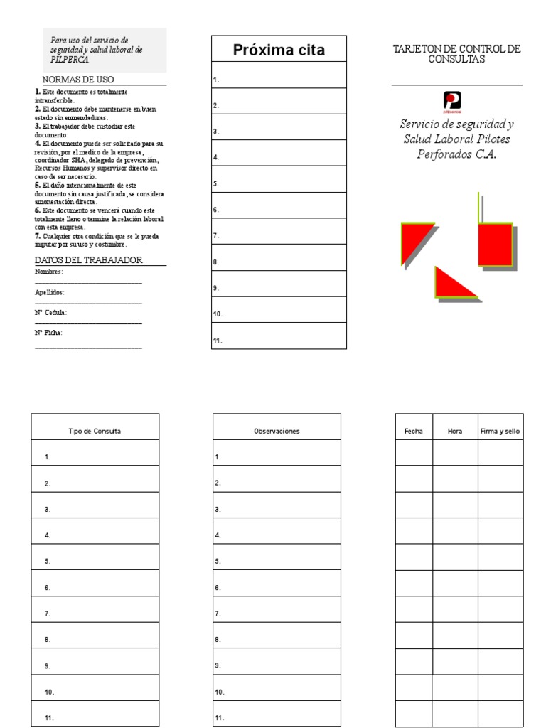 Formato de Control de Consultas Medicas | PDF