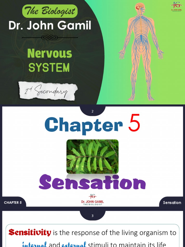 Chapter 5 Sensation Lesson 1 PDF | PDF | Auxin | Root Chapter 5 Sensation Lesson 1 PDF | PDF | Auxin | Root