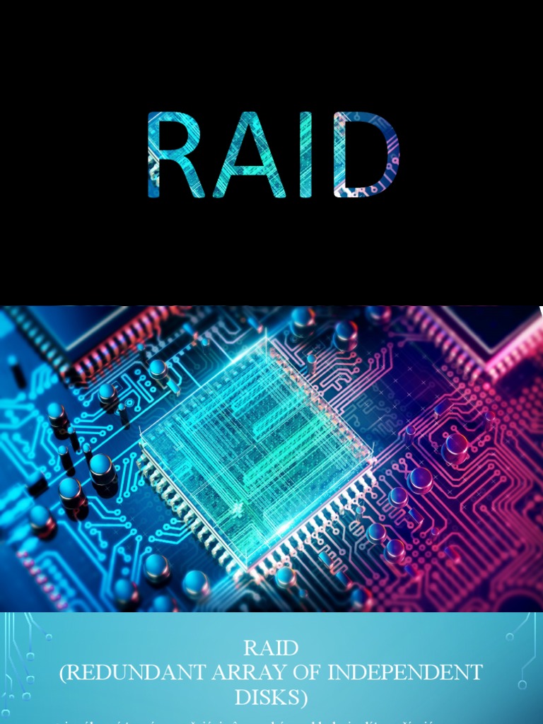 RAID | PDF
