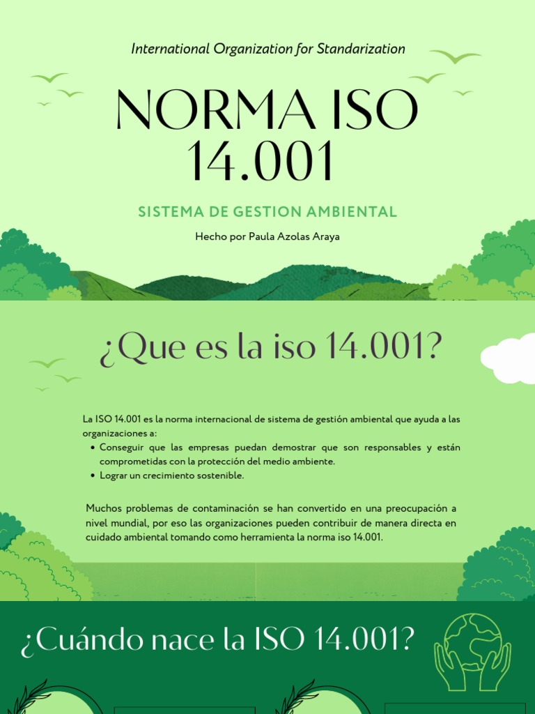 International Organization For Standarization: Norma Iso 14.001 | PDF