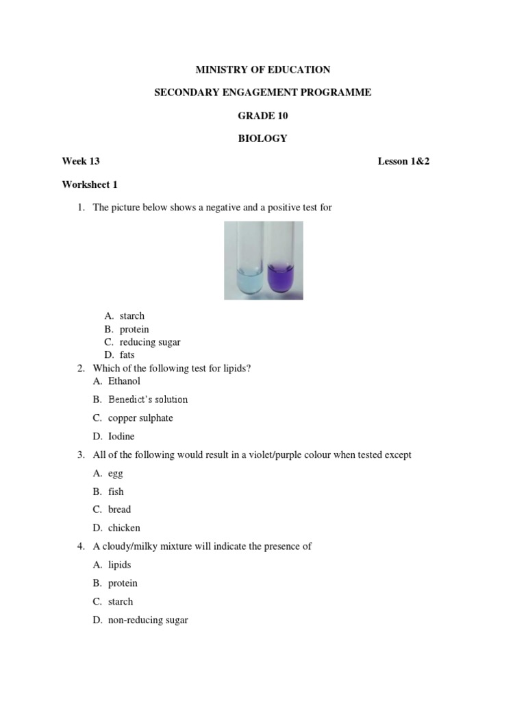 Grade 10 Biology Week 13 Lesson 1 and 2 Worksheet 1 and Solutions | PDF