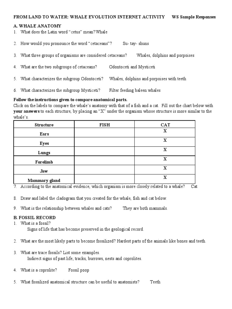 Answer Key Whale Evolution From Land To Water Indiana University | PDF ...
