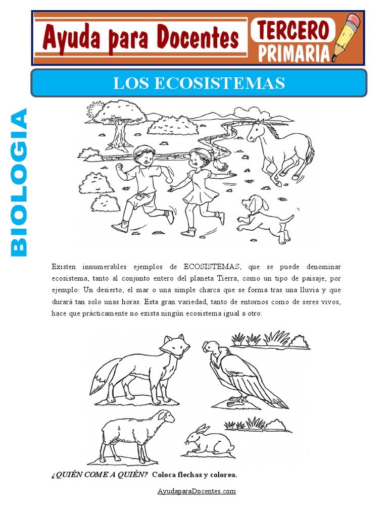 Los Ecosistemas para Tercero de Primaria | PDF | Ecología | Ciencias ...