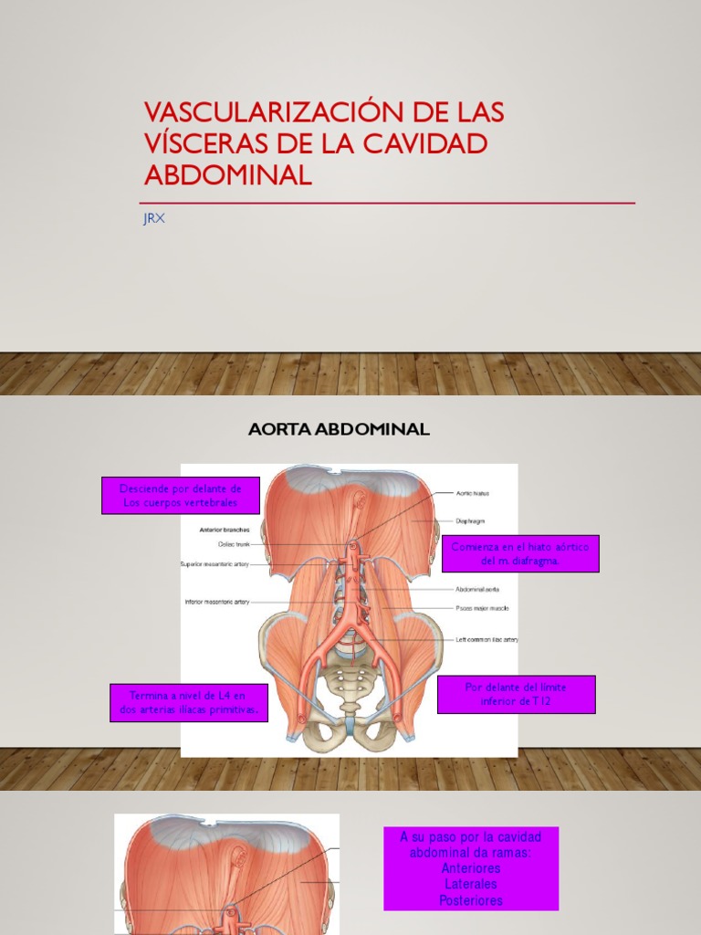 3.11 Vascularización de Las Vísceras de La Cavidad Abdominal 2021 PDF ...