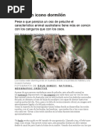 Anatomía y Fisiología de Koalas | PDF | Coala