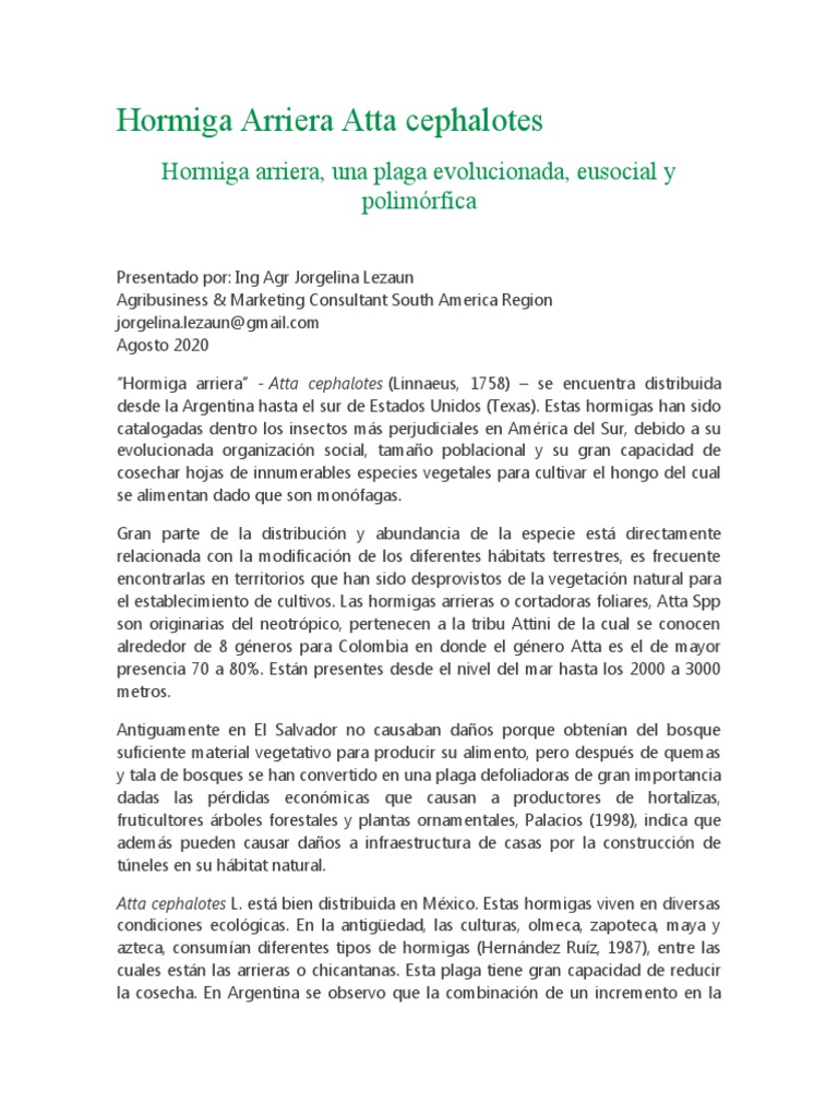 Hormiga Arriera Atta Cephalotes Informe Final | PDF | Hormiga ...