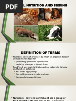 Dairy Cattle Ration Formulation Guide | PDF | Dairy Cattle | Dairy Farming