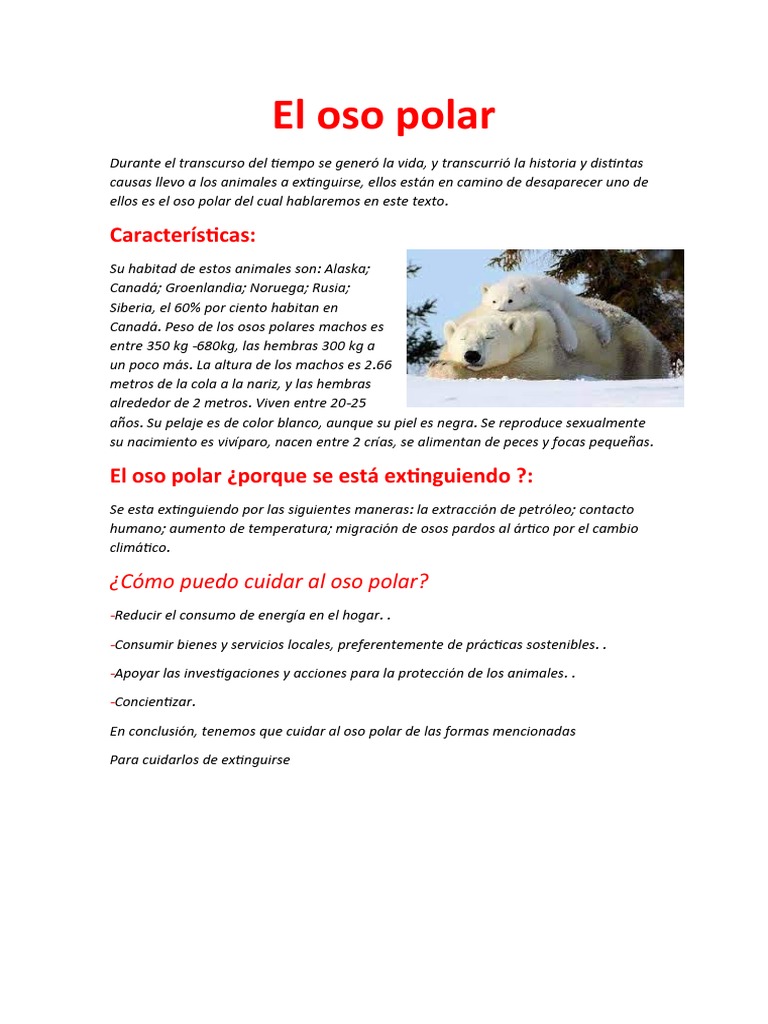El Oso Polar | PDF | Viajes y turismo