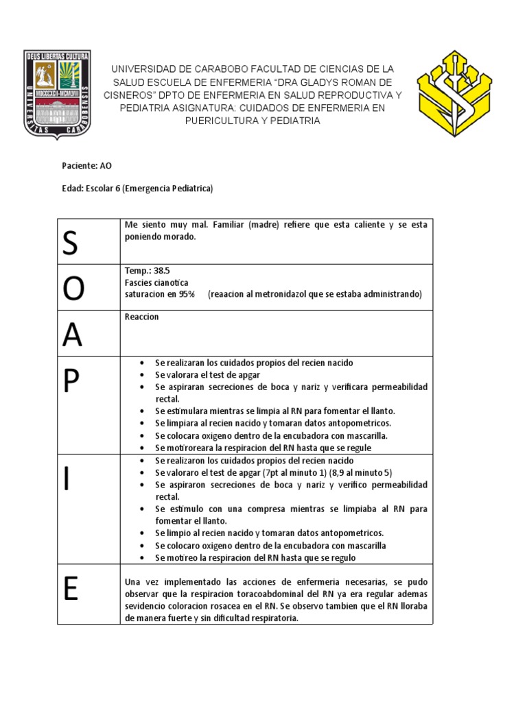 Soapie Sala de Parto | PDF | Parto | Dolor