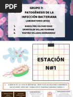 Onfalitis Neonatal: Diagnóstico y Tratamiento | PDF | Septicemia ...