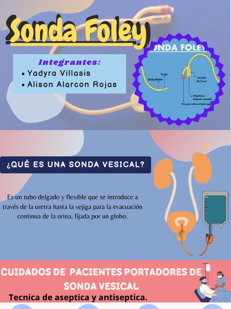 Sonda Foley Expo | PDF | Vejiga urinaria | Sistema urinario