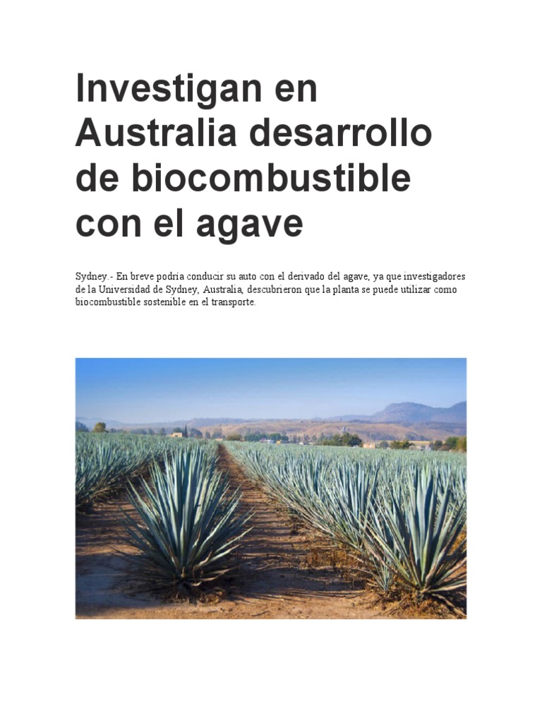 Investigan en Australia Desarrollo de Biocombustible Con El Agave | PDF | Biocombustible ...