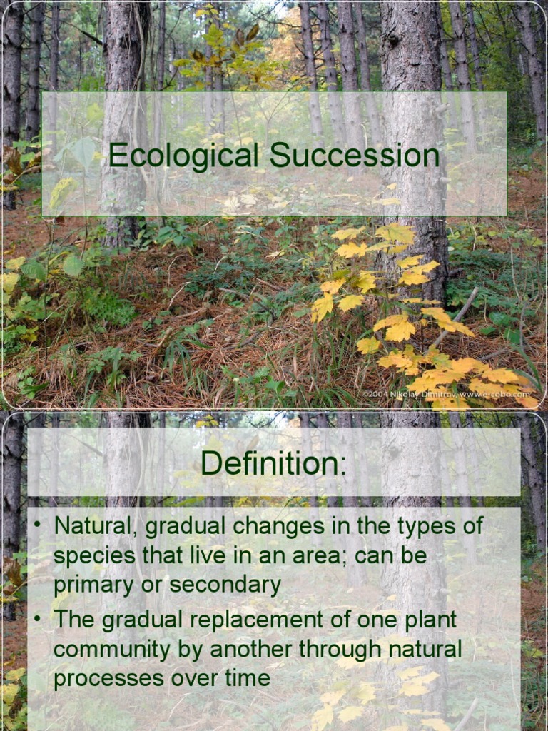 Understanding Ecological Succession | PDF | Carbon Cycle | Earth Sciences