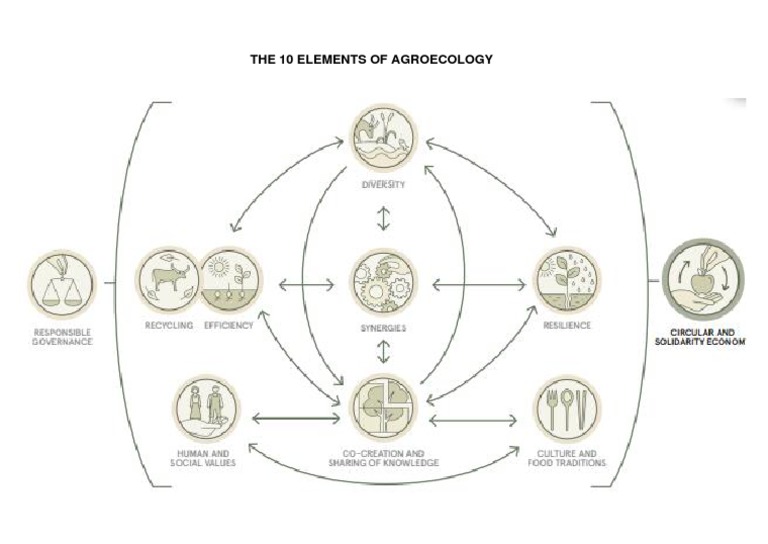 THE 10 ELEMENTS OF AGROECOLOGY | PDF