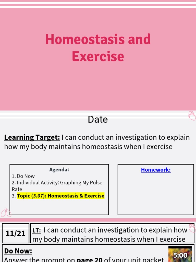 Homeostasis During Exercise Investigation | PDF | Homeostasis | Physiology