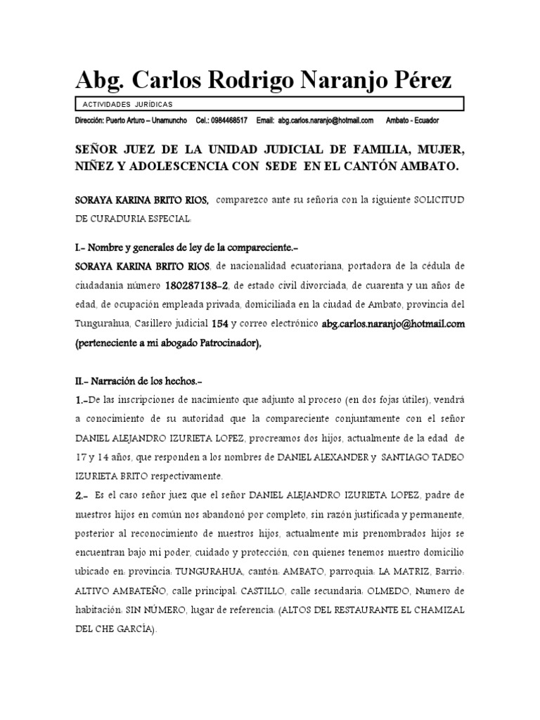 Solicitud de Curaduría Especial en Ambato | PDF | Instituciones ...