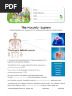 Kaplan Anatomy Coloring Book | PDF | Foot | Human Leg