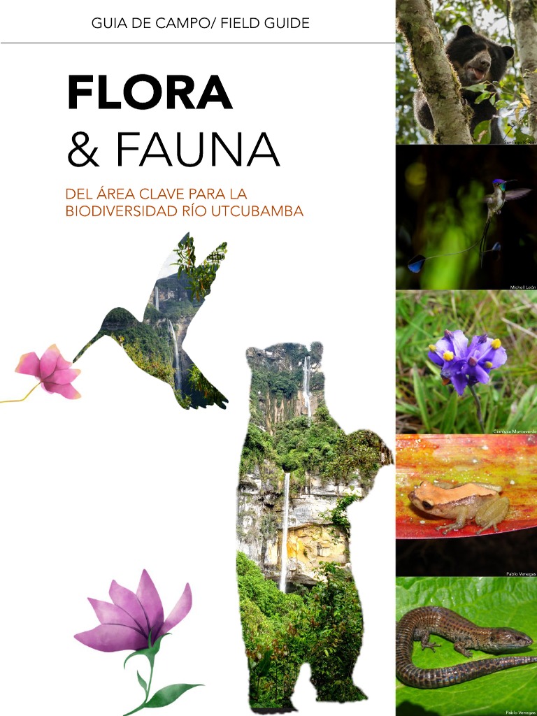 Flora y fauna del rio utcubamba | PDF