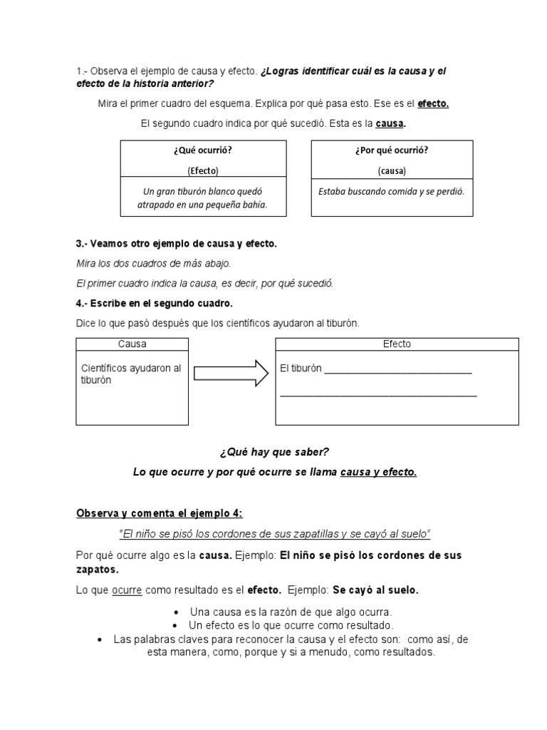 Clase Causa Efecto | PDF
