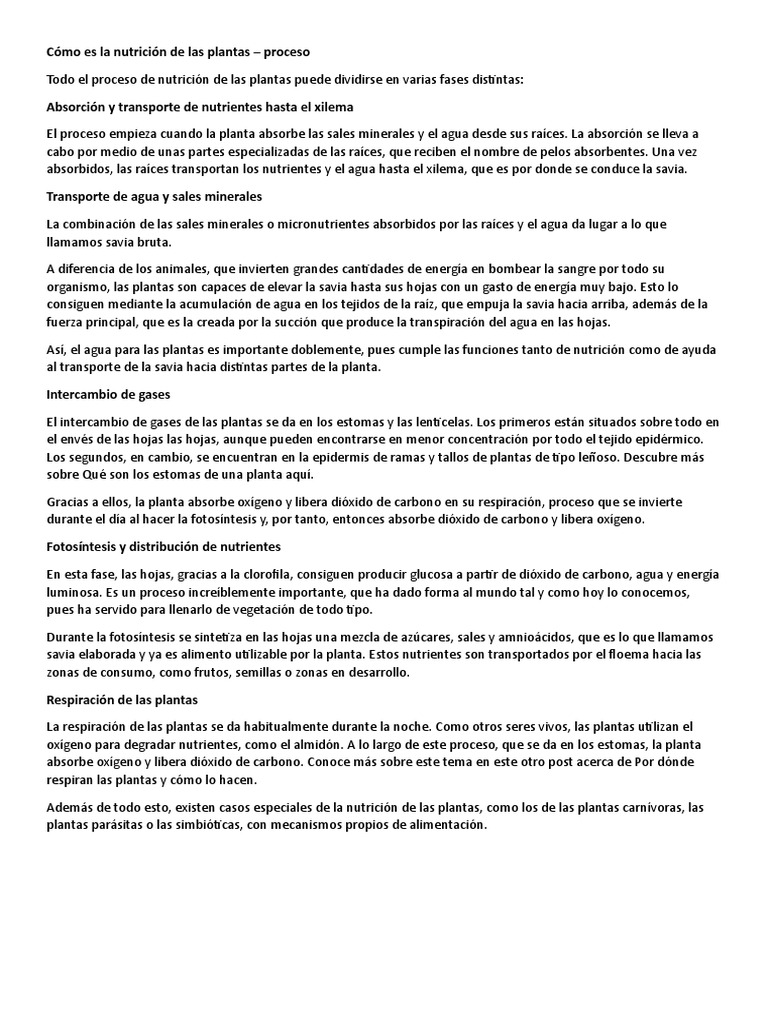 Cómo Es La Nutrición De Las Plantas Pdf Plantas Fotosíntesis